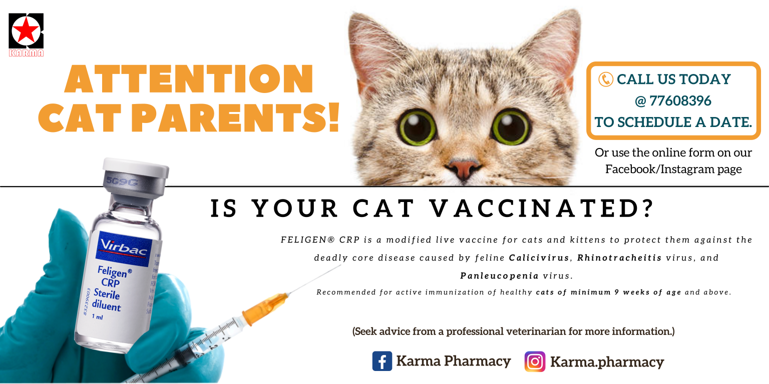 Feligen Cat Vaccine (1) – Karma Group